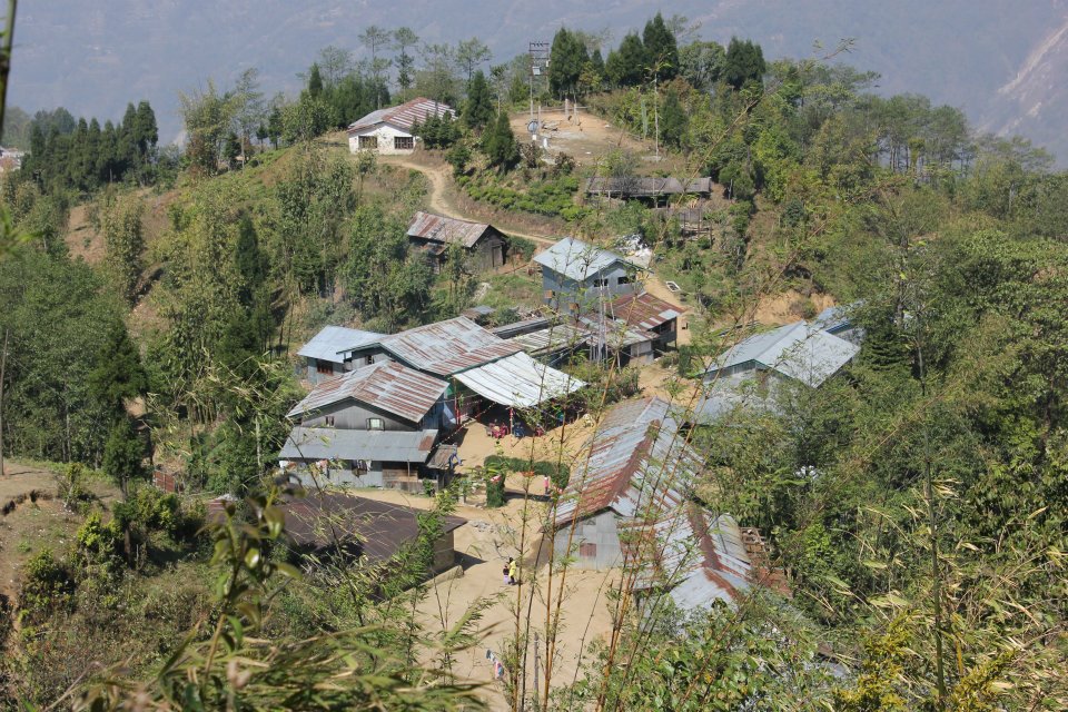 Information.season: panchami bazar ,pyang , ilam nepal