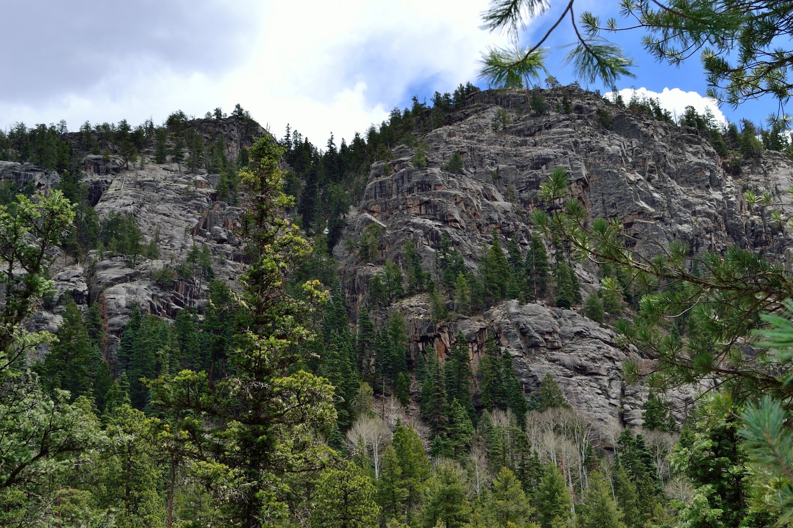 Hiking and Camping Southwest Colorado: Vallecito Creek Trail