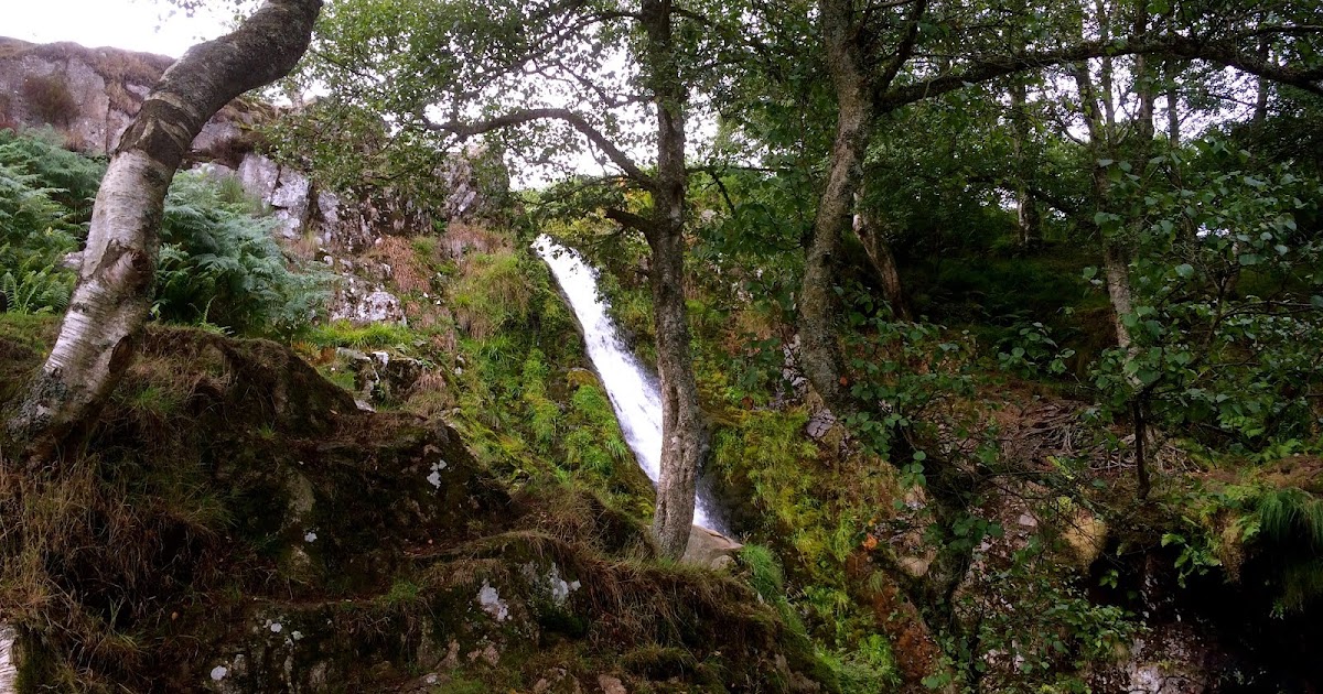 Days out in the Borders : Linhope Spout Walk