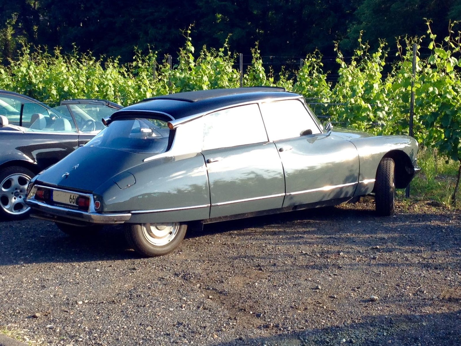 Rheinland-Cruiser: Citroen DS Sichtung