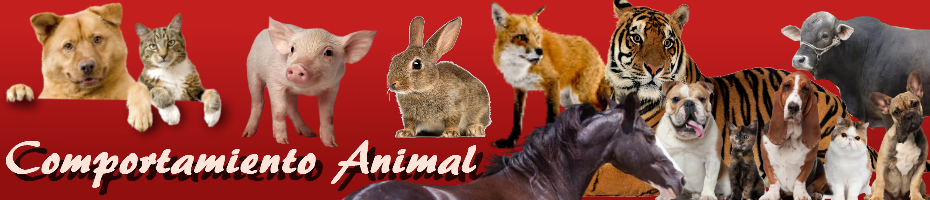 Comportamiento Animal: Información respecto al tema