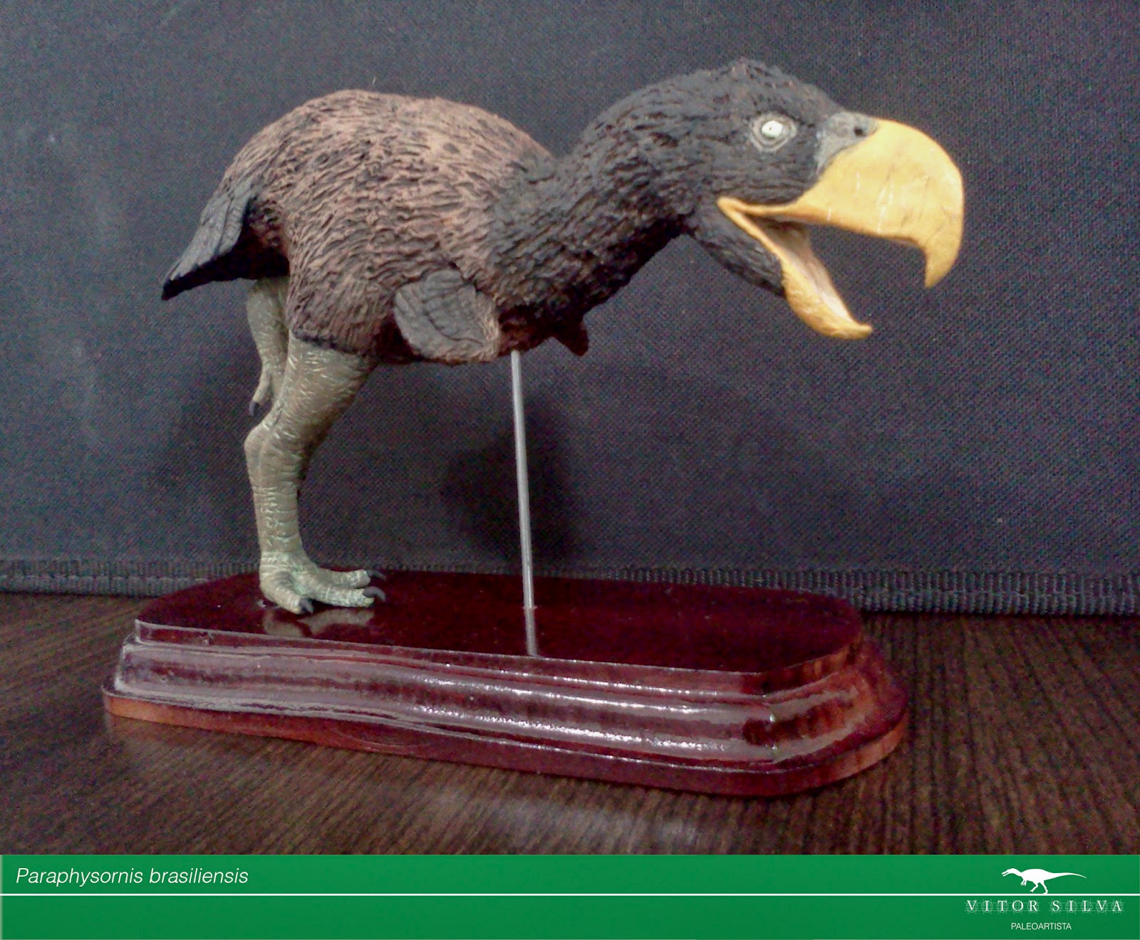 Vitor Silva - Paleoartista: Paraphysornis - Paleo Brasil