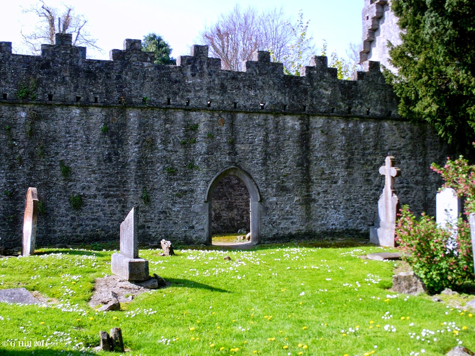 Ireland In Ruins: Malahide Abbey Co Dublin