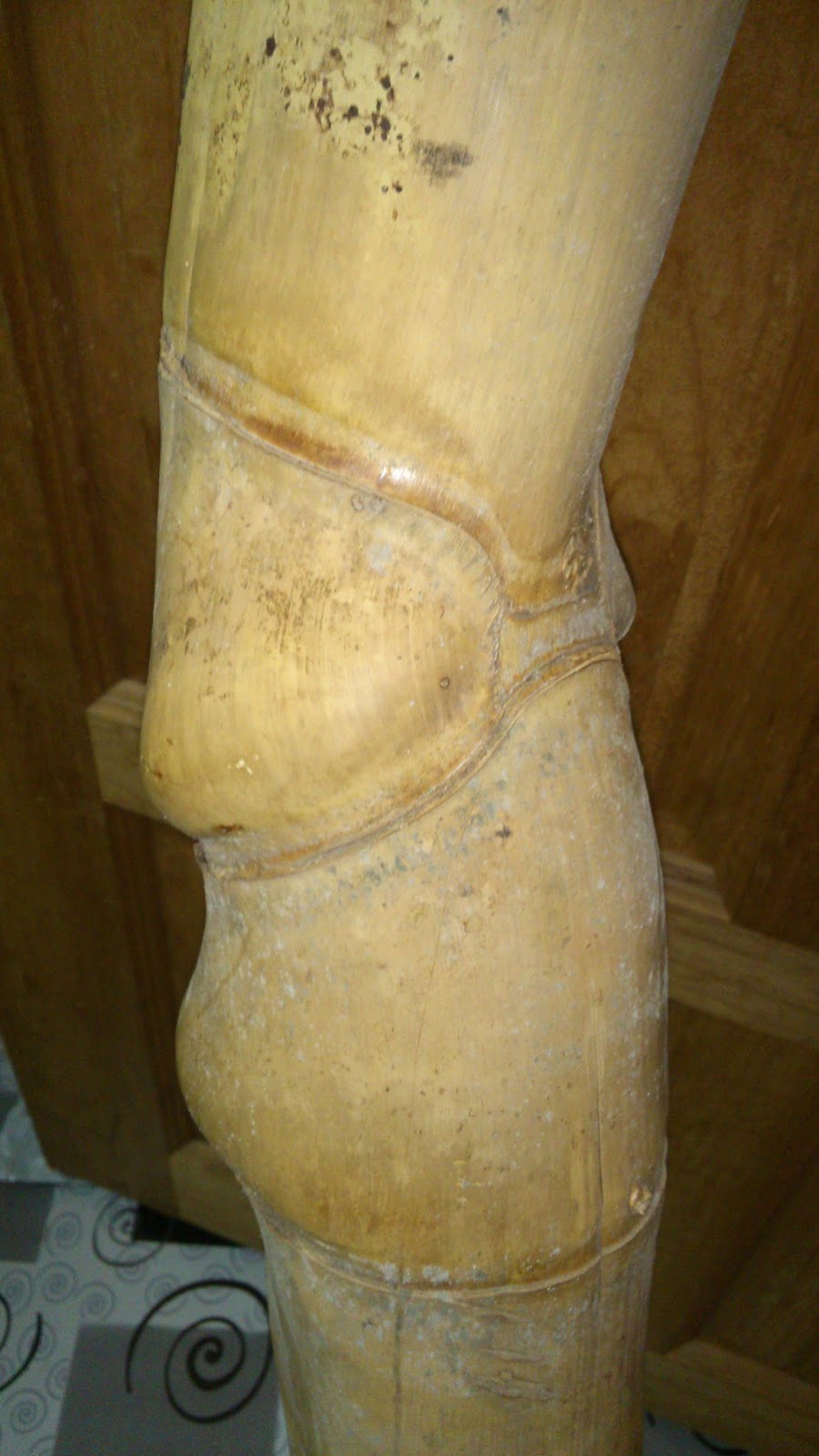 ZAMRUD TECHNOLOGY: Natural Unique & Rare (4) ~Pelbagai Kesenian Buluh ...