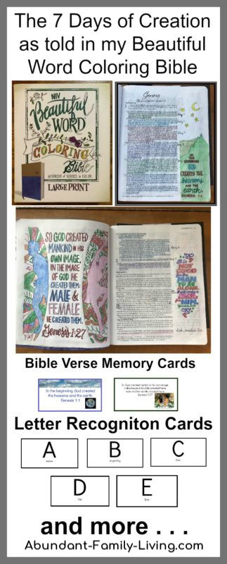 Abundant Family Living: The 7 Days of Creation