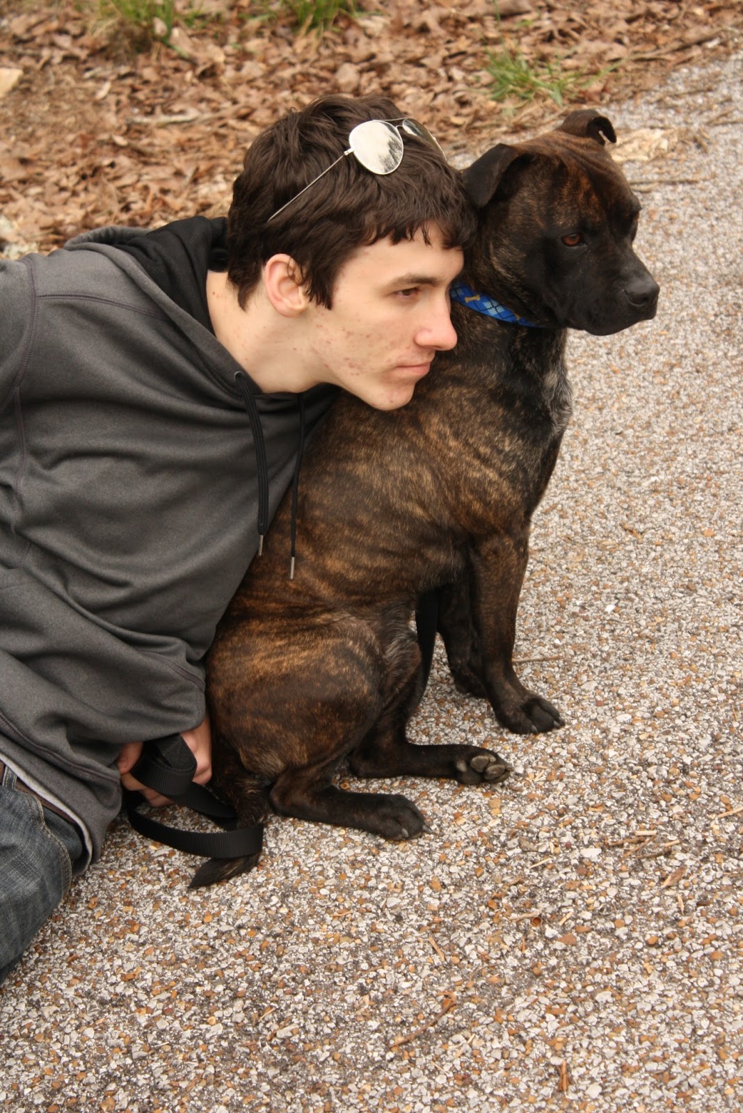 My Barefoot Farm: Dog Adoption