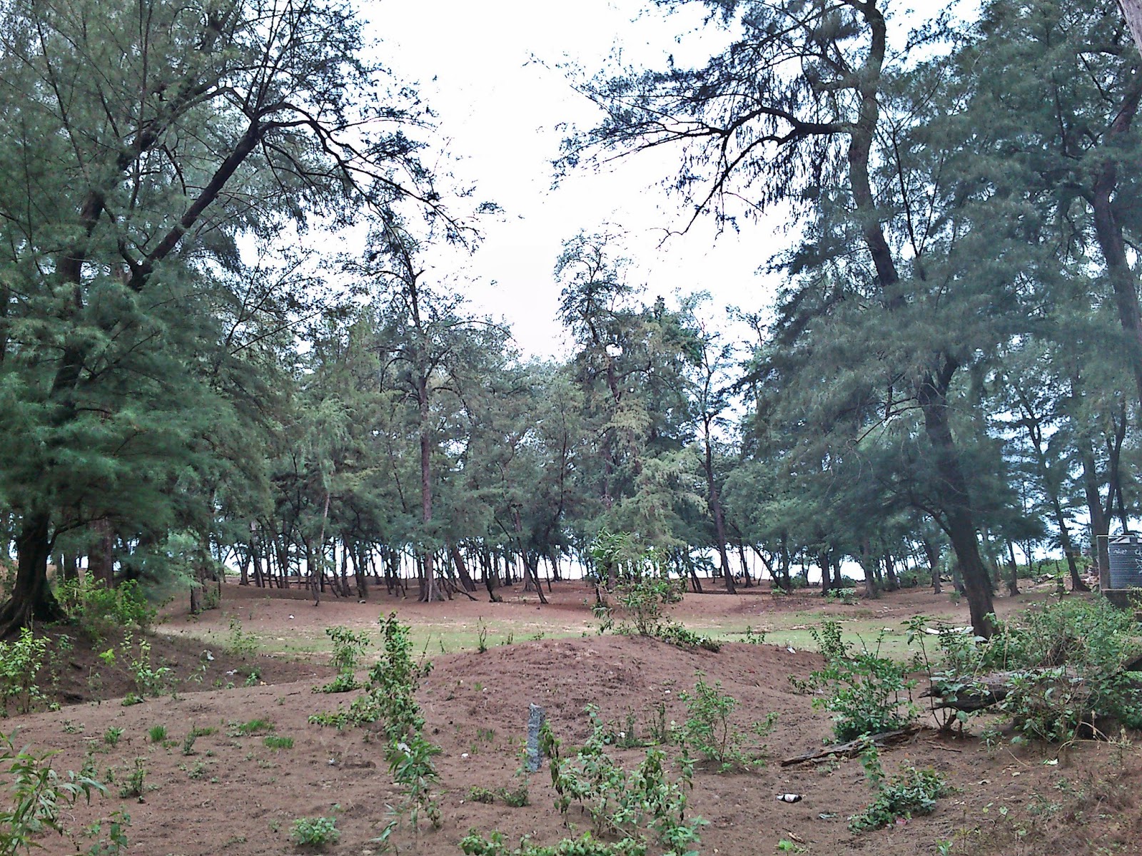 NIfISH tRAVELOGUES: June 2015