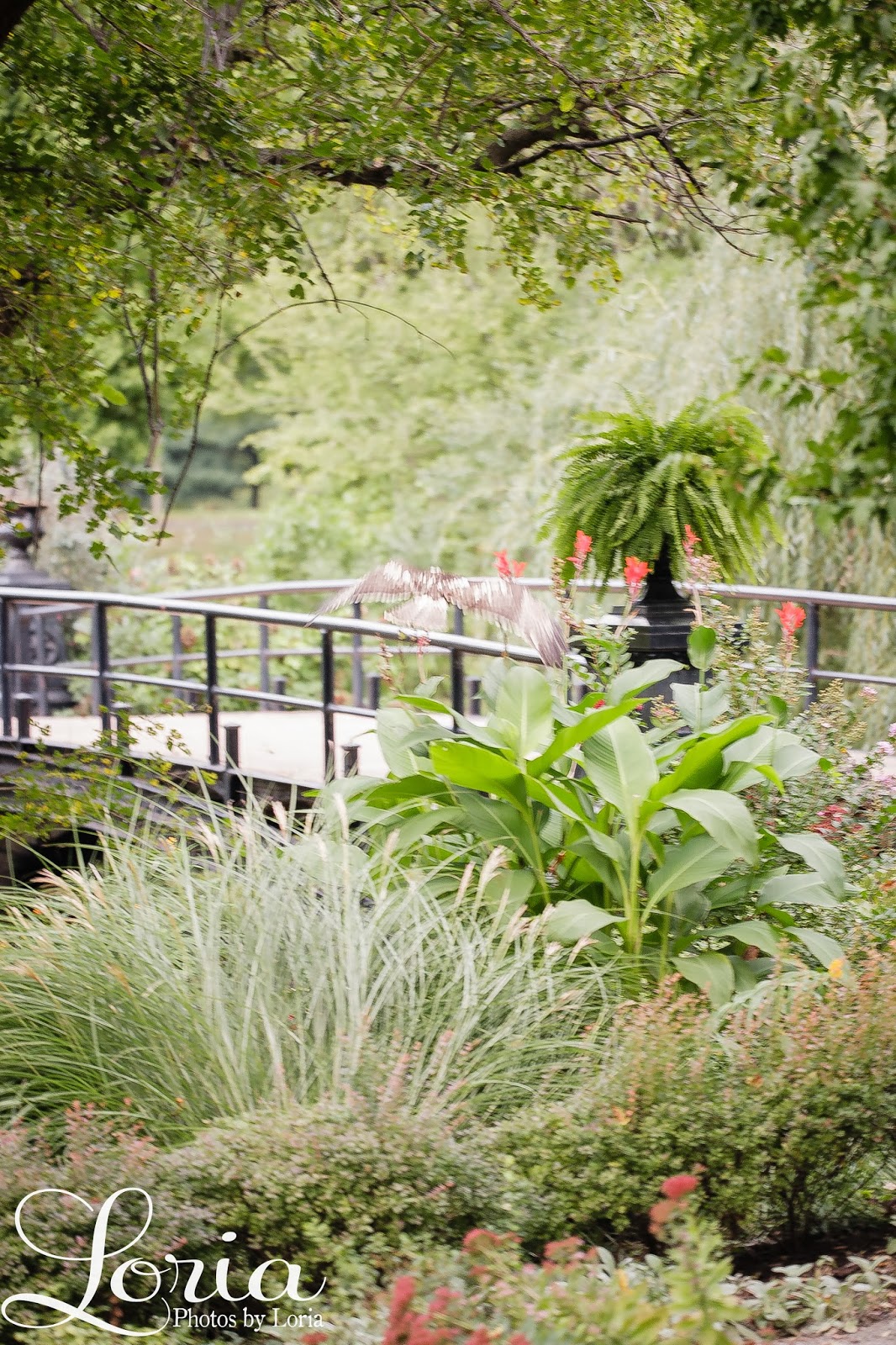 Photos by Loria - The Photoblog: Sara & Tim :: Married!