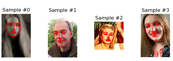 SW정리: PyTorch Data Loading and Processing Tutorial (1/2)
