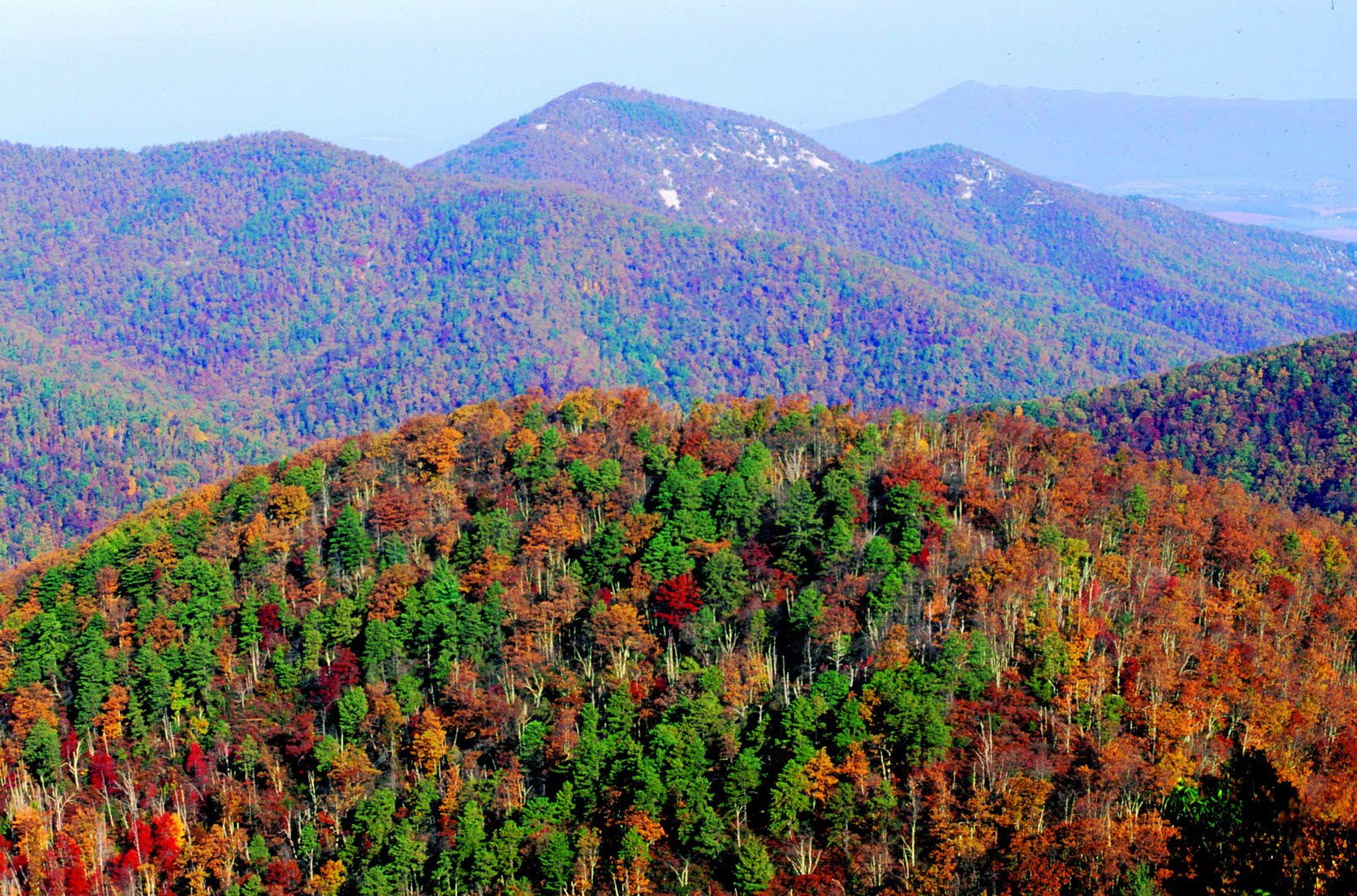 Shenandoah River, Blue Riidge Mountains and Northern Virginia Horse ...