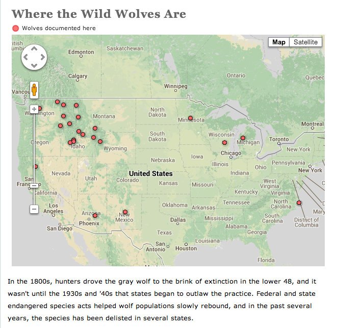 ERIPE LUPUS: WOLF NEWS