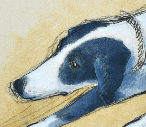 Freya Blackwood: Banjo & Ruby Red Get Packed