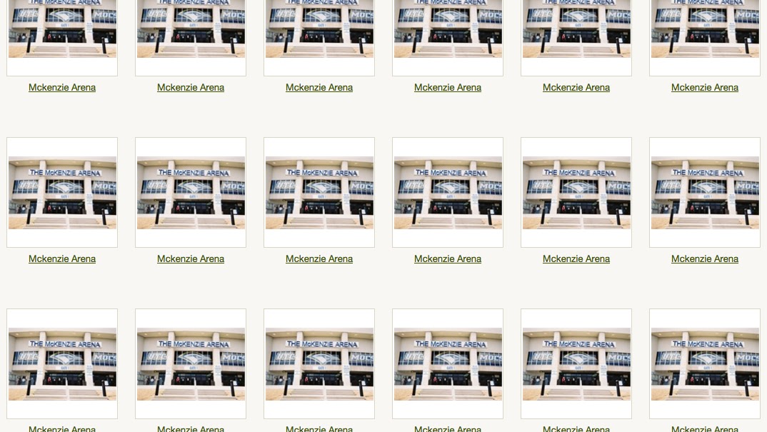 Barking Up the Wrong Tree: Model of Idiocracy