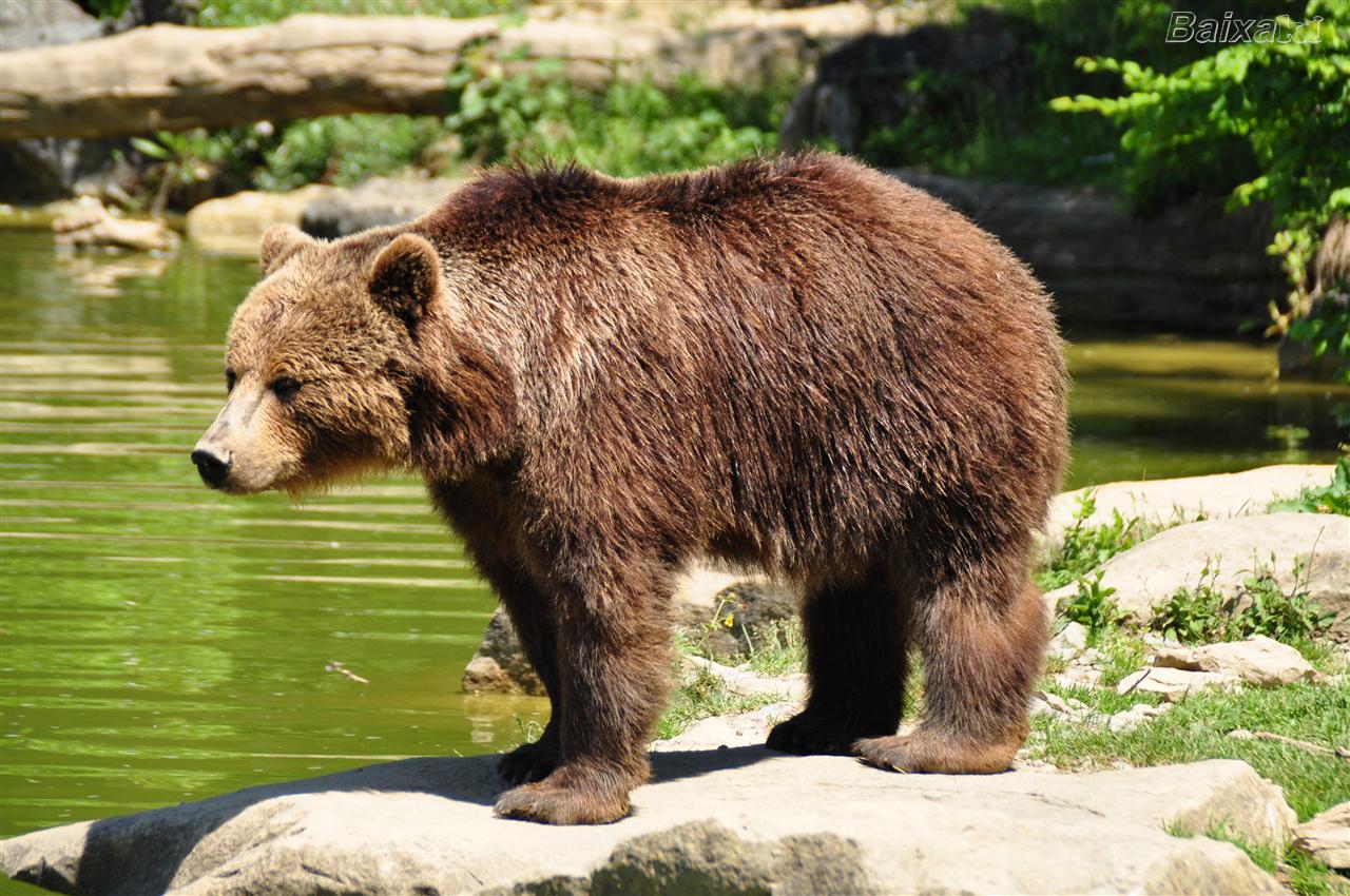ProJovem Urbano Londrina: Dinâmica na Formação Continuada