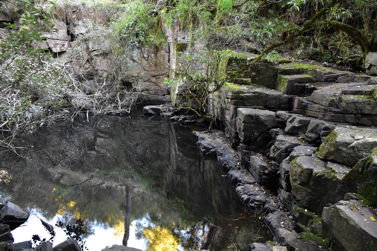 Goin' Feral One Day At A Time: Den of Nargun, Mitchell River National ...