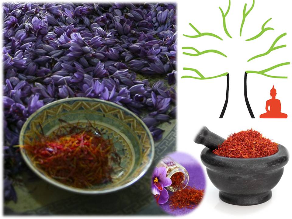 AROMATERAPIA, SALUD Y MAGIA: EL AZAFRÁN PARA AROMATERAPIA ...