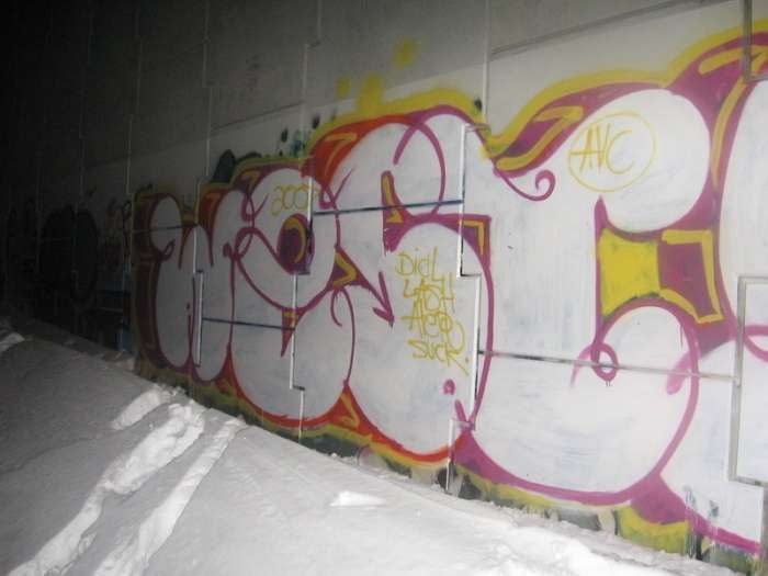 Occupy Newfoundland and Labrador: Protest Arts -- Graffiti