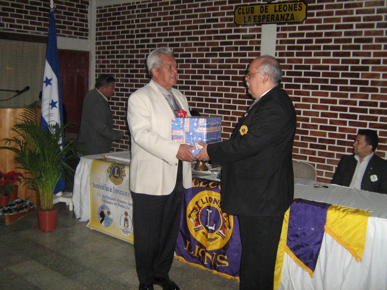 SIRVIENDO A NUESTRO PUEBLO INTIBUCANO: Extructura de nuestra Organizacion