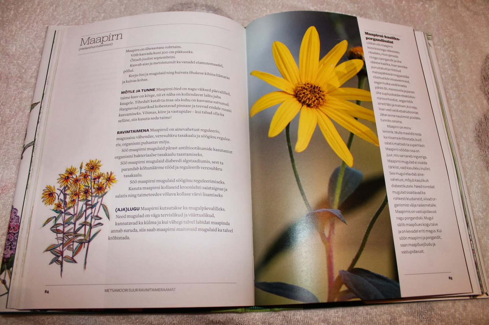 Tagasi Eestis!: 2013