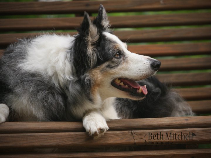 Beth Mitchell Photography