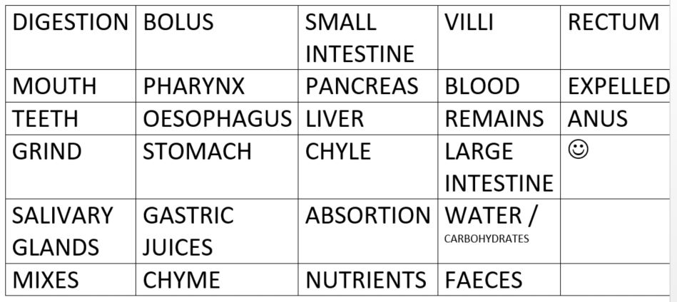 blogteacheralfonso: KEY WORDS FOR DIGESTION