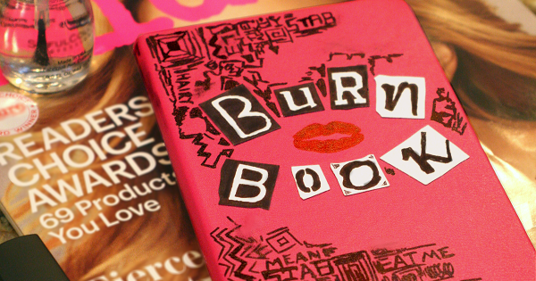 Faire by Alice: Diy Burn Book