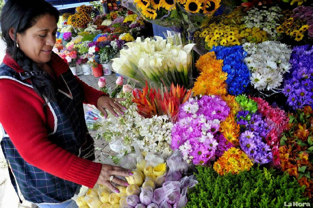 Las Flores Ecuatorianas Exportación: INTRODUCCIÓN