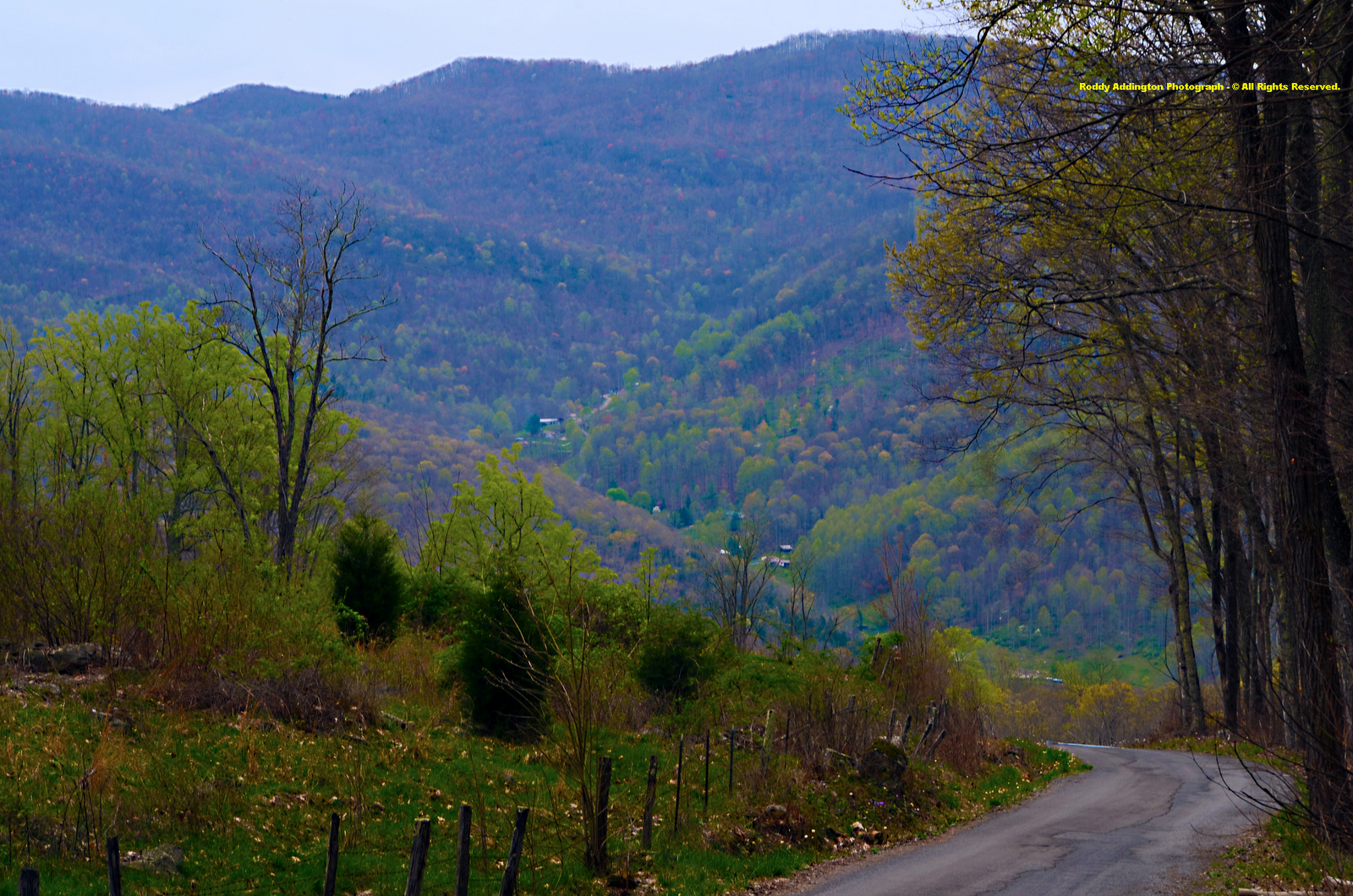 The High Knob Landform: April 2012 - Spring Majesty In Maple Gap