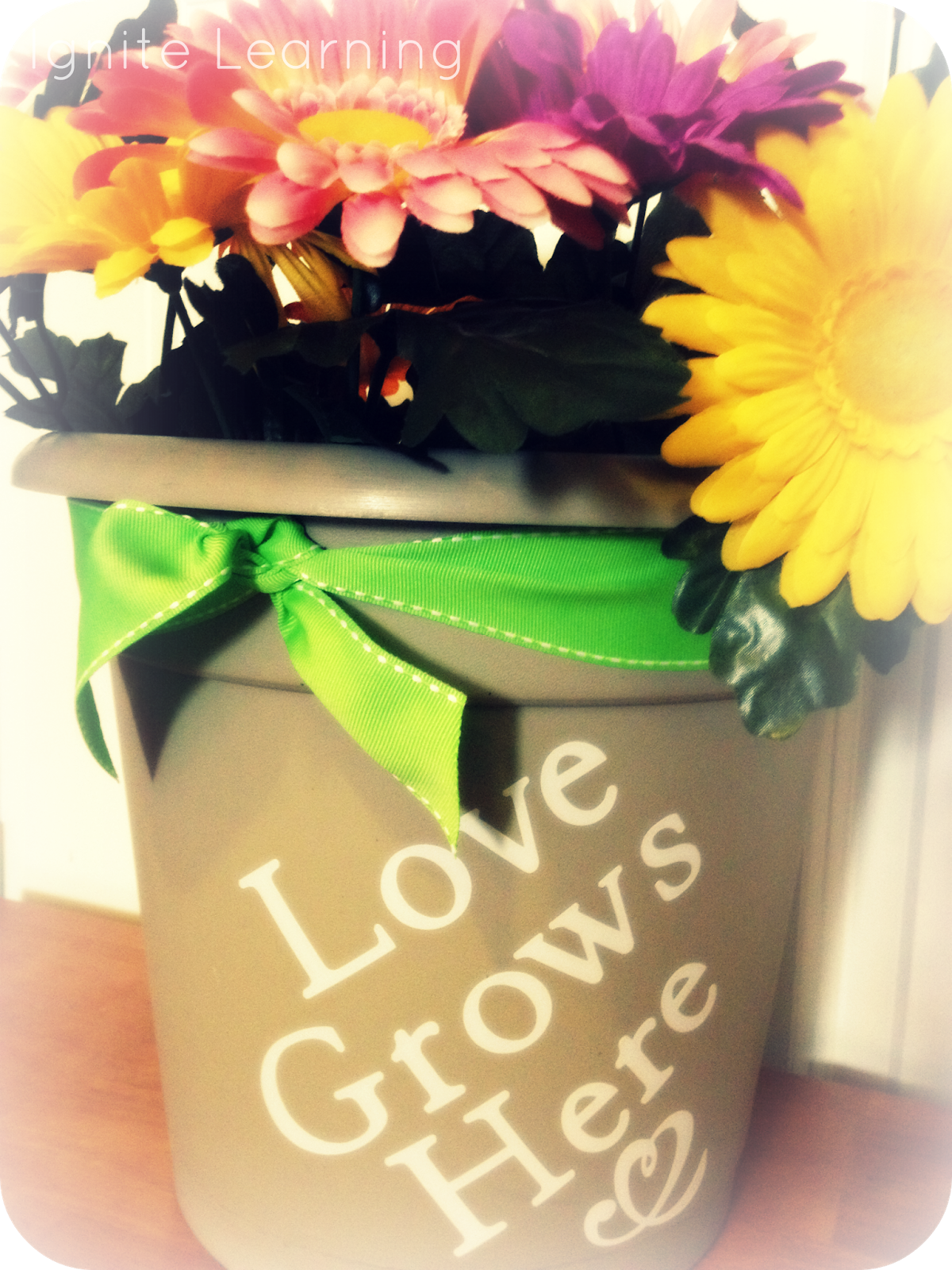 Ignite Learning with Conscious Discipline LLC: Love Grows Here