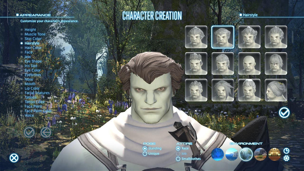 A Tank and a Healer.: FFXIV Character Creation Part 2