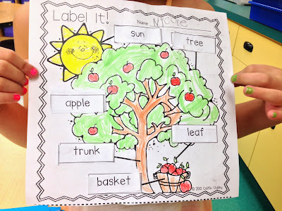 Kindergarten Smiles: Learning All About Apples!