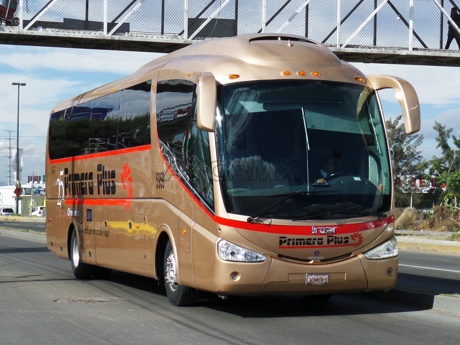 AYCAMX - Autobuses y Camiones México : Autobuses Foráneos 417. Primera Plus