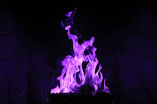 Purple Fire Sanctuary