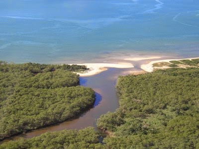 ESTUDOS DE GEOGRAFIA 2014: AULA 48 - 1º ANO EM - CARACTERÍSTICAS GERAIS ...