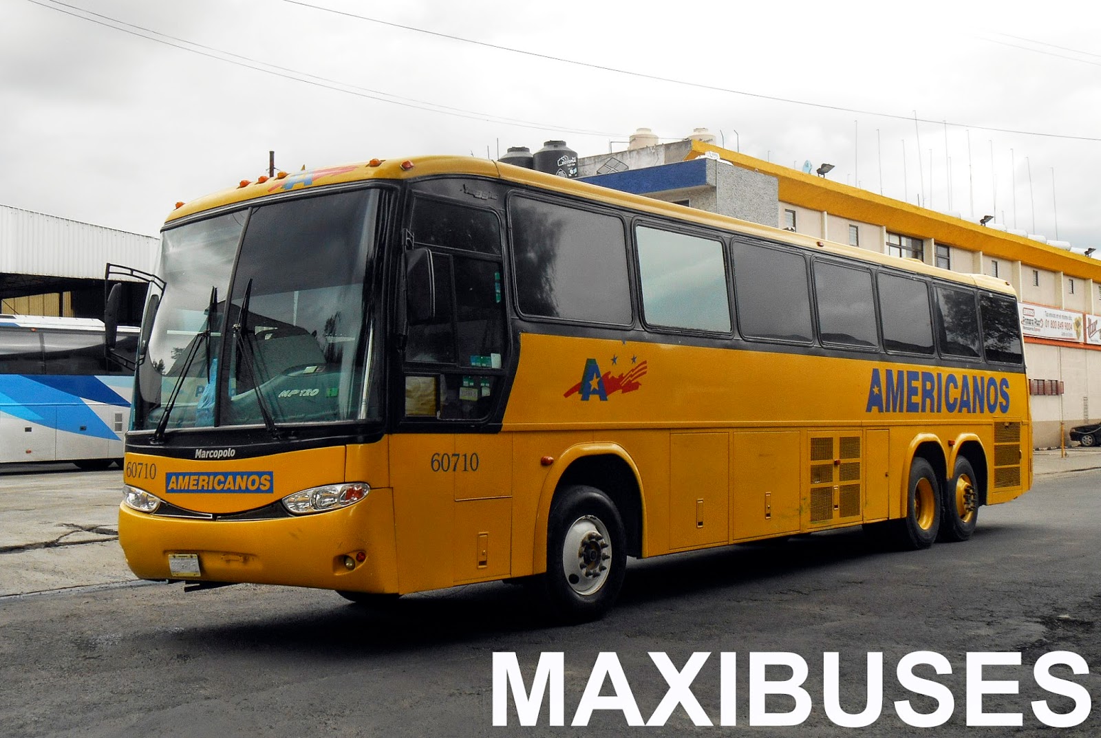 MAXIBUSES: AUTOBUSES AMERICANOS
