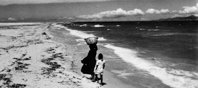 See These Movies or Die: The Netflix Instant Blog: #244: Araya