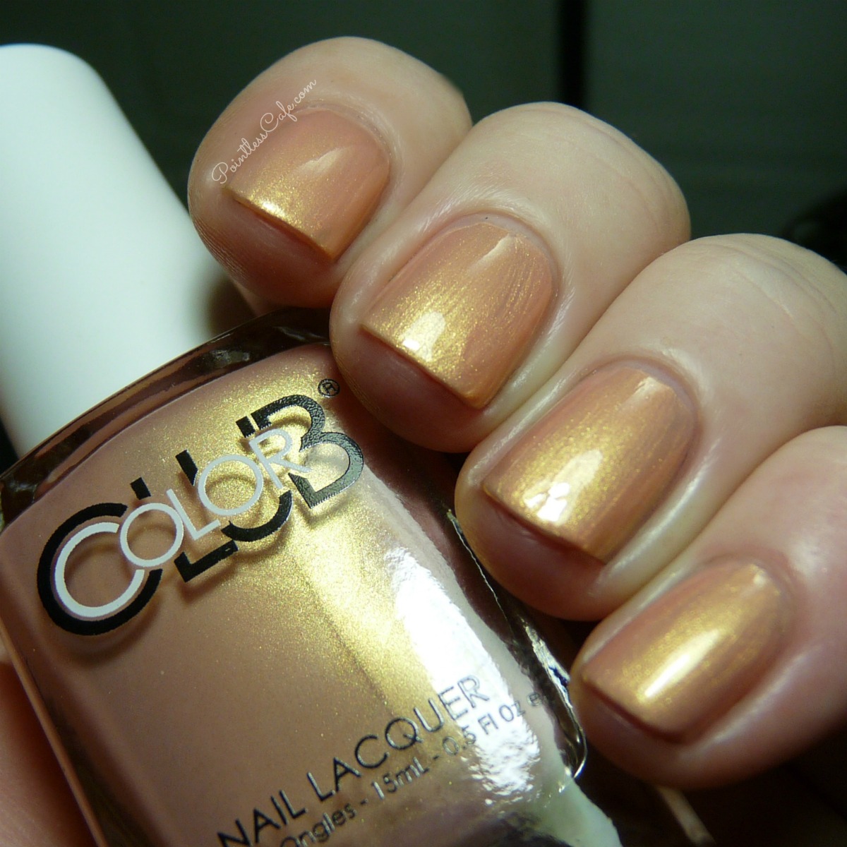 Color Club Safari Garden Collection for Spring 2014 | Pointless Cafe