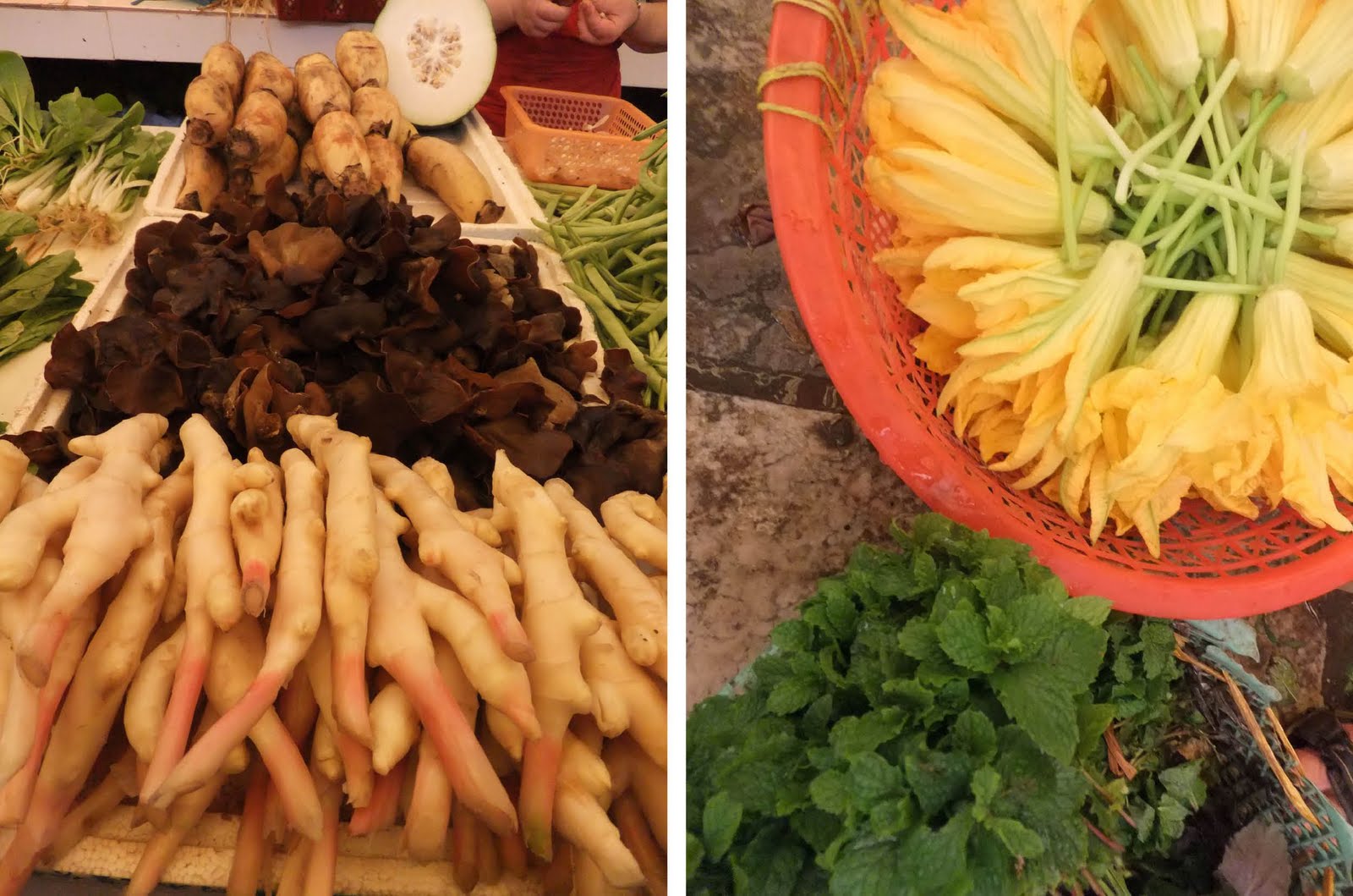 Follow My Recipe: A Grand Gastronomical Tour of China