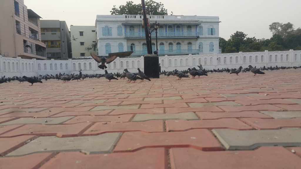 Tamilnadu Tourism: Triplicane Big Mosque, Chennai