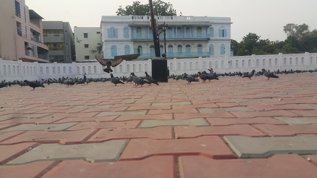 Tamilnadu Tourism: Triplicane Big Mosque, Chennai