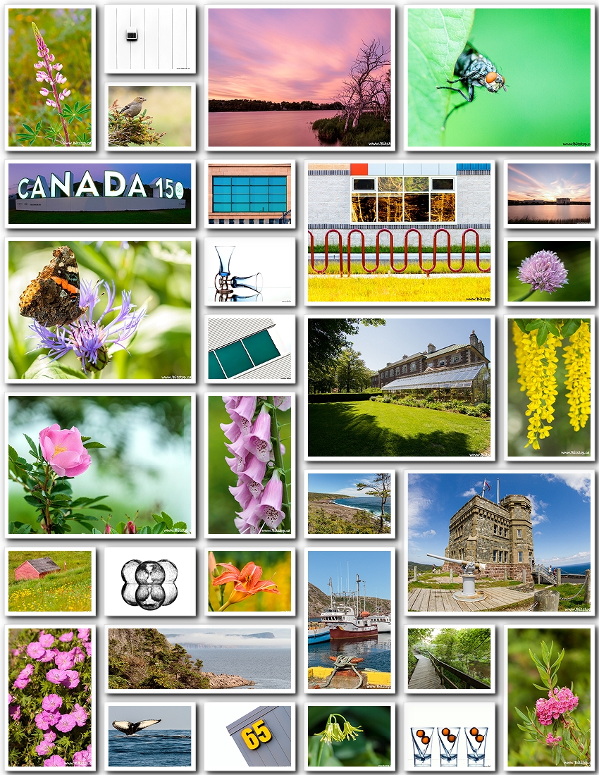 Bitstop: July Collage