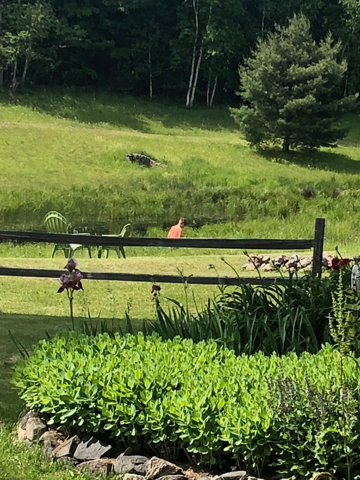 This Circus Life: On living in a fishbowl, and other parenting ...