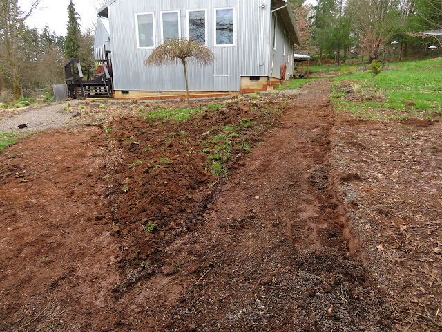 Before and After: Moving Soil, Making Paths