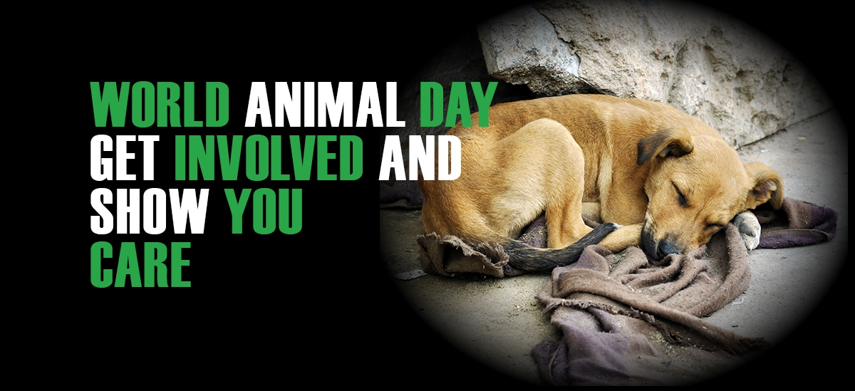 EcoworldReactor World Animal Day ecoworldreactor-world-animal-day