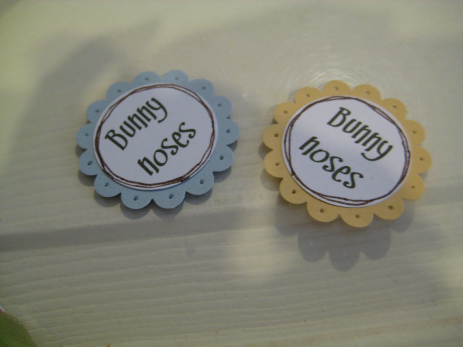 She's a Sassy Lady: Bunny noses!