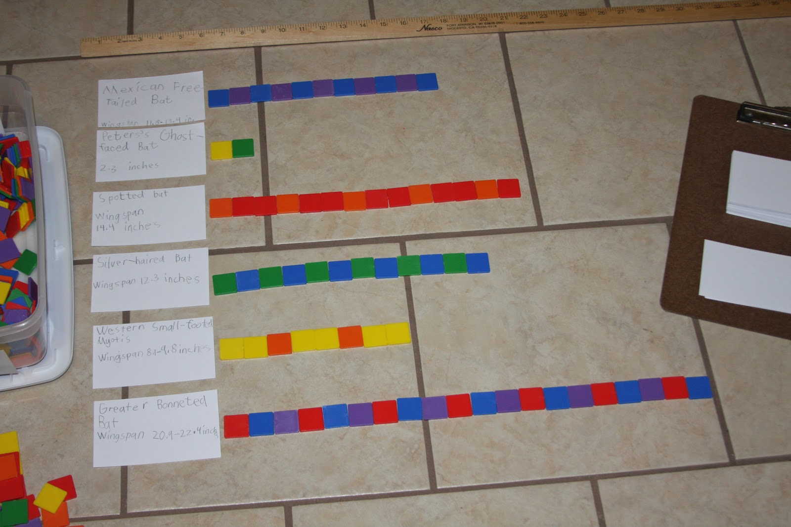 A Learning Journey: Batty Measurements: Wingspan Comparisons