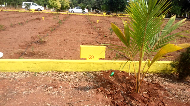 శ్రీగంధం ఫాంల్యాండ్ ప్లాట్లు ఇప్పుడు ఆగిరిపల్లికి అతిదగ్గరలో!: శ్రీగంధం ...