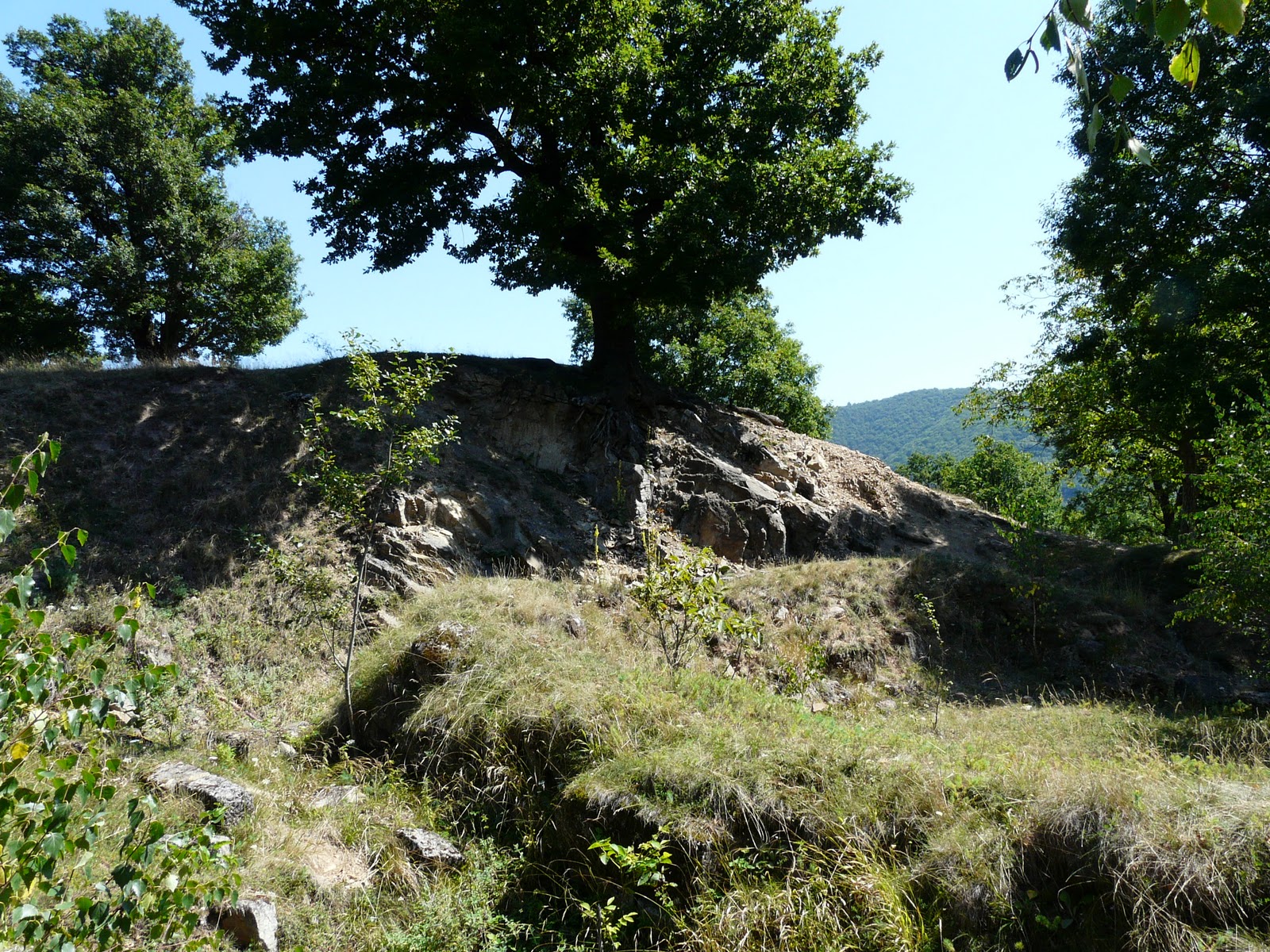 plecat de acasă: Cetatea dacică Căpâlna. Monument UNESCO!