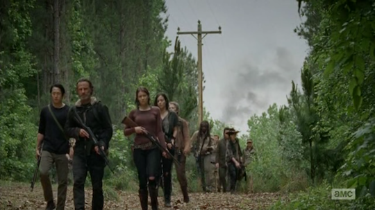 The Everyday Cinephile.: The Walking Dead s05e02 "Strangers" Grade: A-