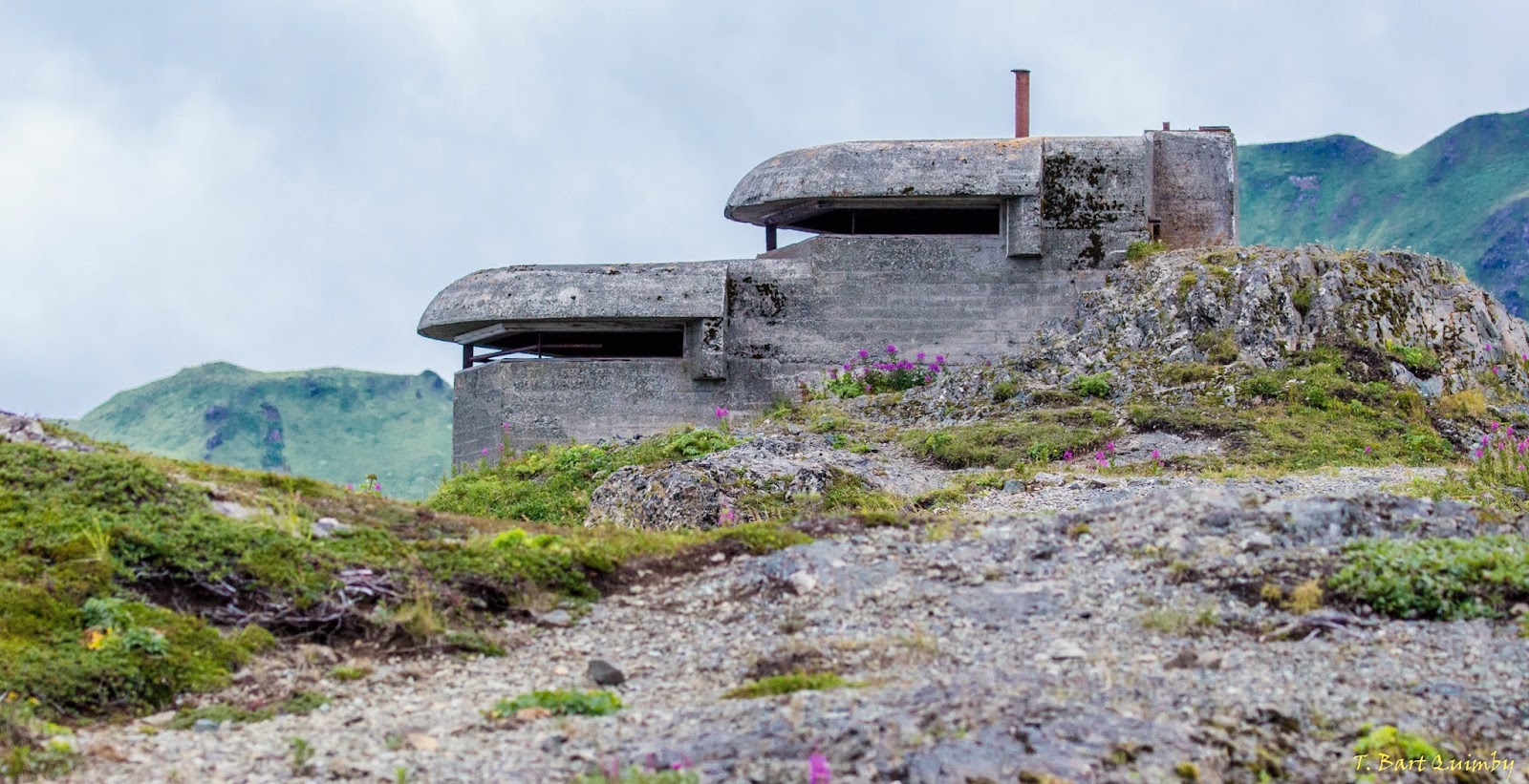 The Show and Tell Nature Blog: Dutch Harbor and Unalaska